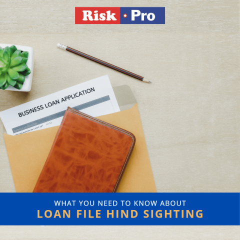 What You Need to Know About Loan File Hind Sighting | Riskpro India ...